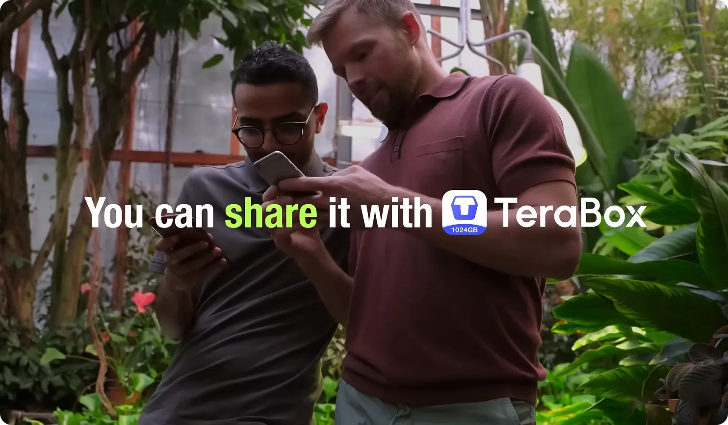 Flextech - TeraBox母公司